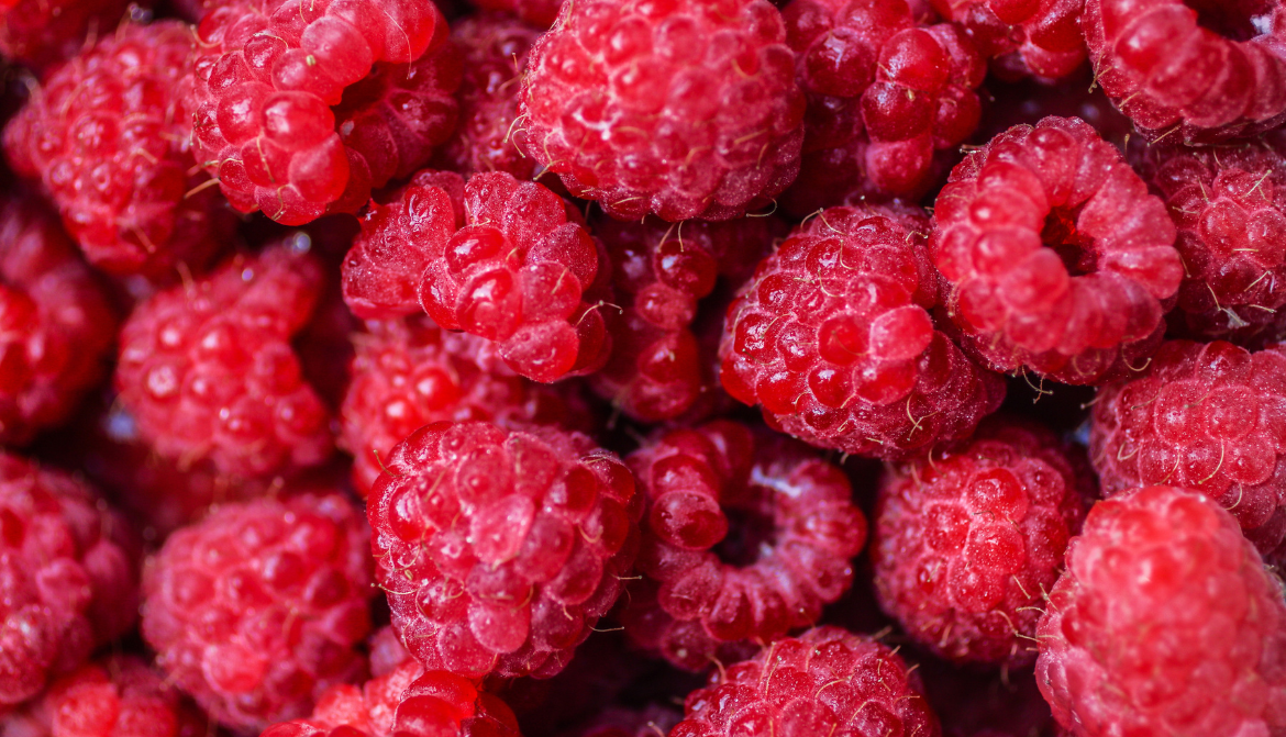 The Power of Raspberry Leaf Stem Cell Extract for Deep Skin Hydration ...